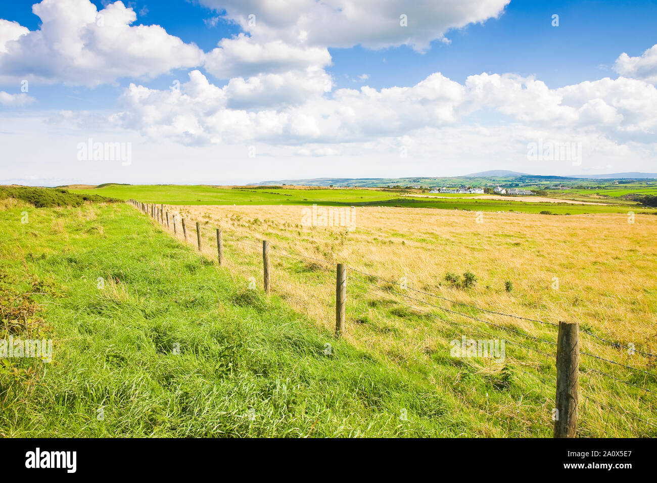 Typical Irish flat landscape with fields of grass and wooden fence for ...