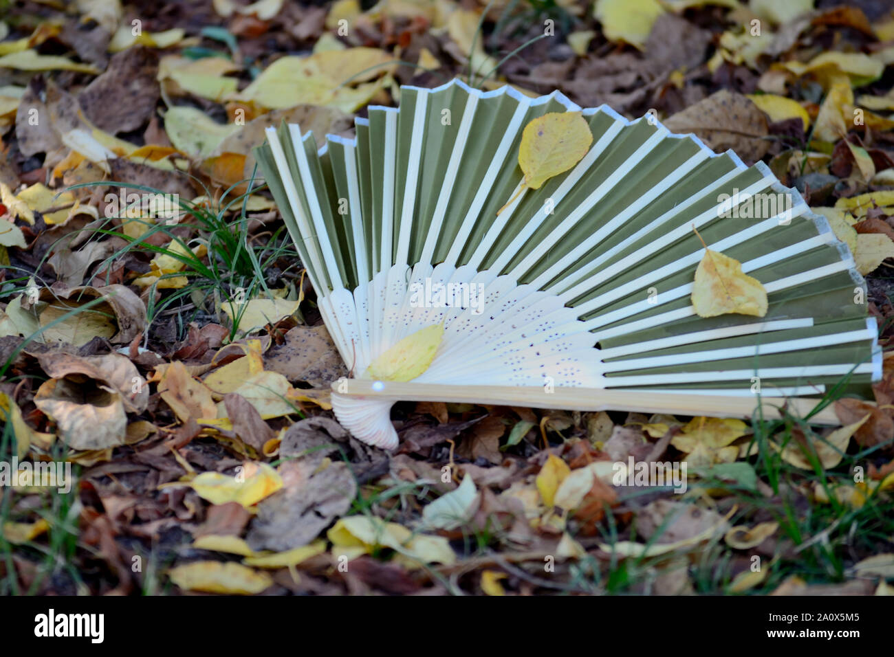 Handheld fan hi-res stock photography and images - Alamy