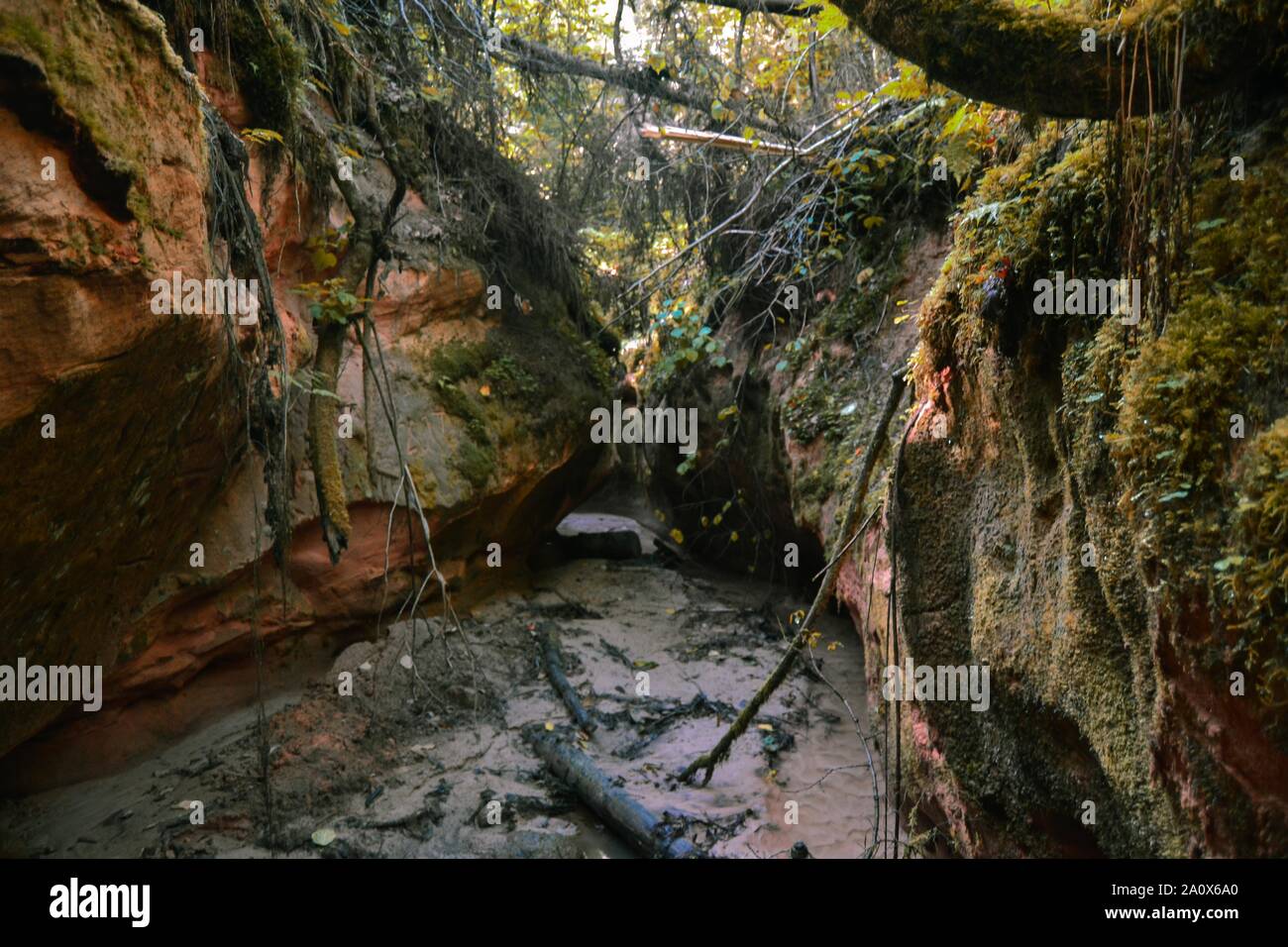 Shallow caves hi-res stock photography and images - Alamy