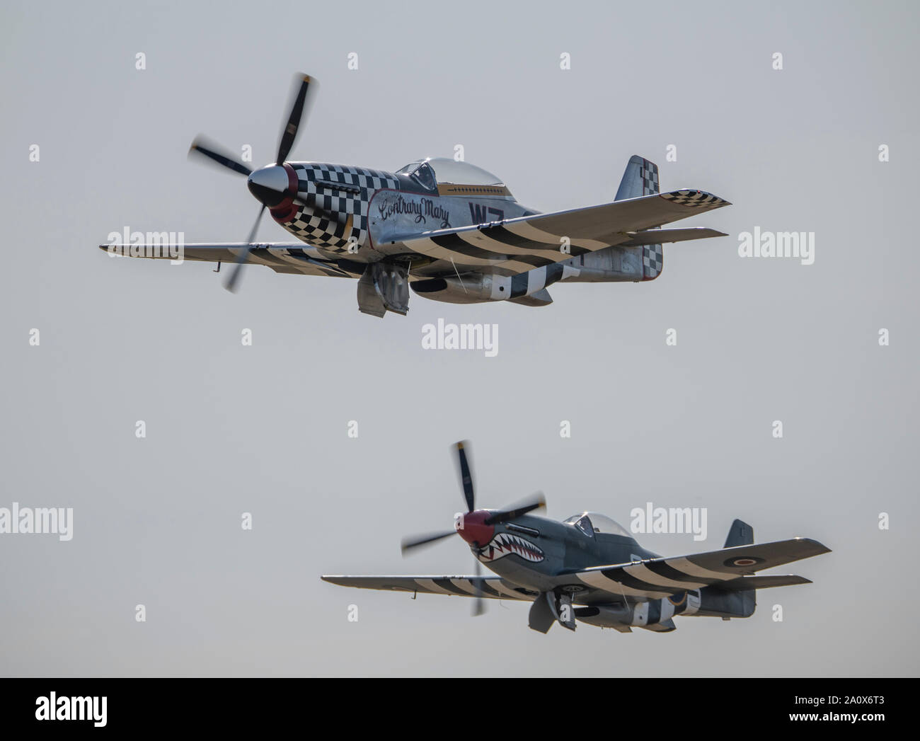 North american mustangs hi-res stock photography and images - Alamy