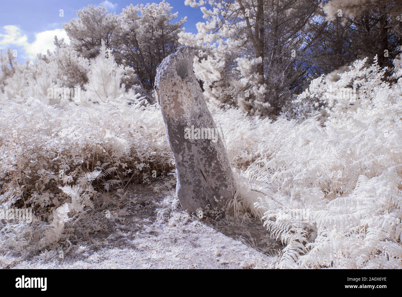 Long rock hi-res stock photography and images - Alamy