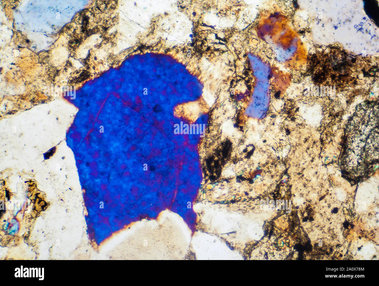 Graywacke greywacke sandstone hi-res stock photography and images - Alamy