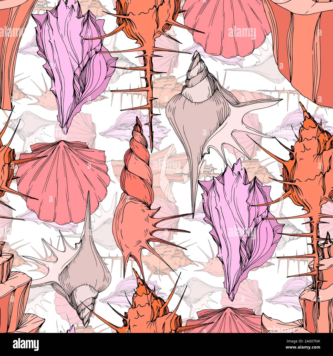 Summer beach seashell tropical elements. Engraved ink art. Seamless ...