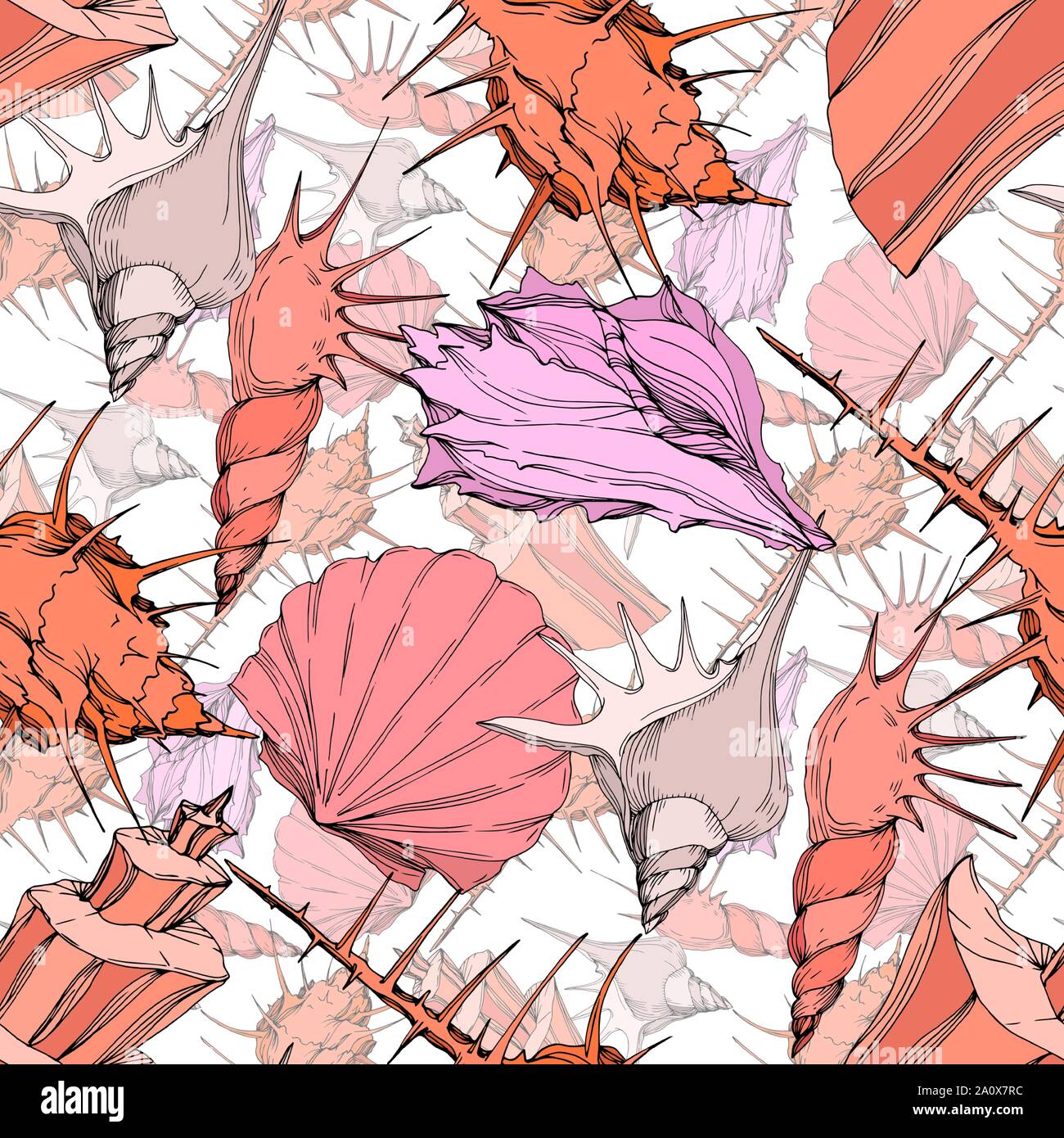 Summer beach seashell tropical elements. Engraved ink art. Seamless ...