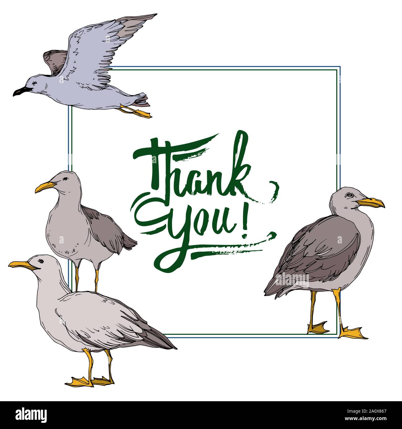 Vector Sky bird seagull in a wildlife isolated. Wild freedom, bird with ...