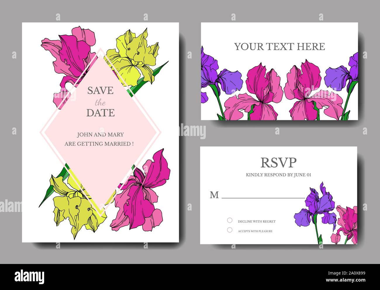 Vector Iris floral botanical flowers. Black and white engraved ink art ...
