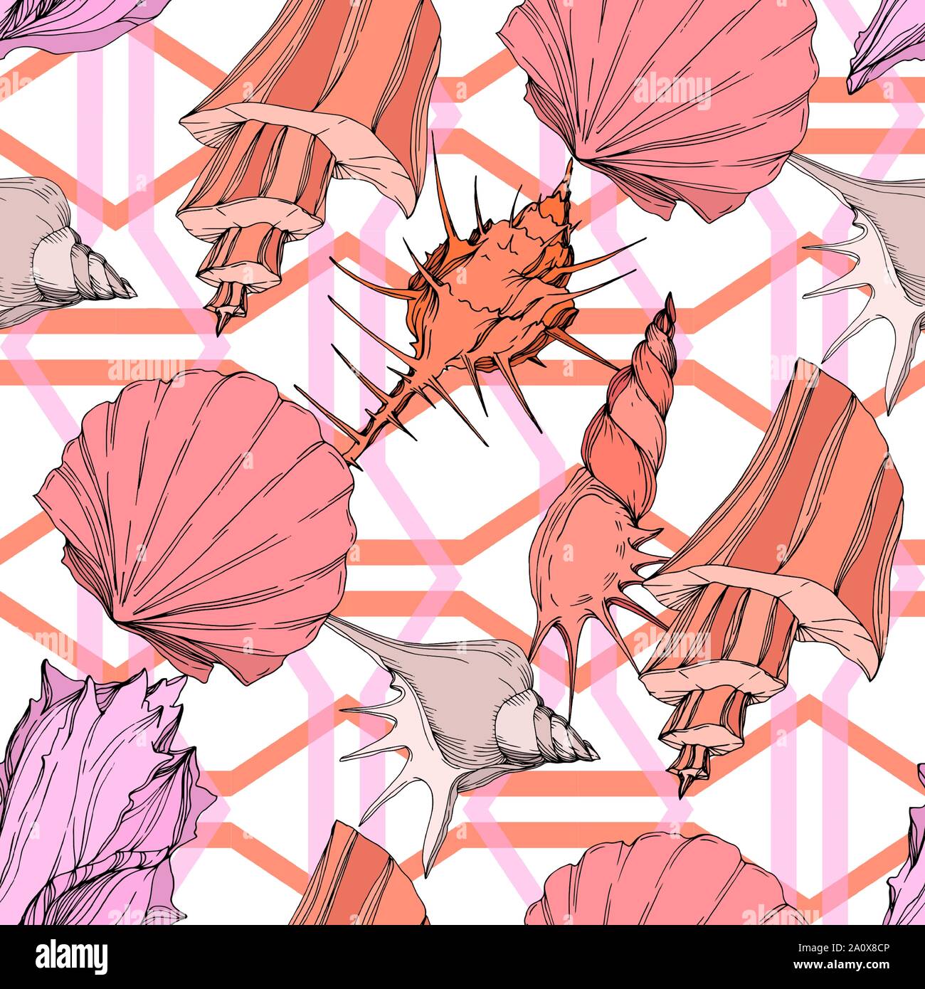 Summer beach seashell tropical elements. Engraved ink art. Seamless ...