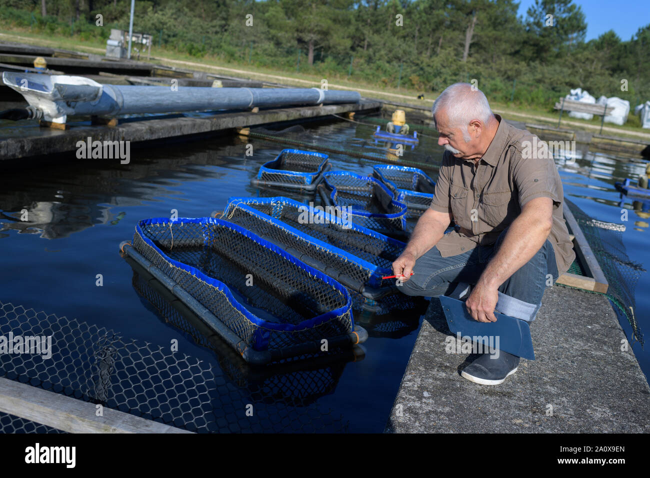 Floating basket hi-res stock photography and images - Alamy