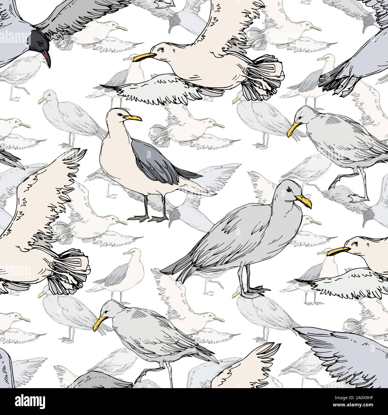 Sky bird seagull in a wildlife. Wild freedom, bird with a flying wings ...