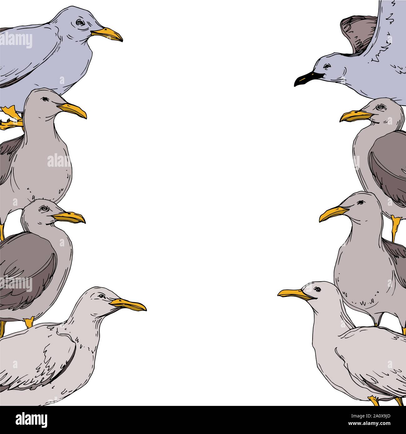 Vector Sky bird seagull in a wildlife isolated. Wild freedom, bird with ...