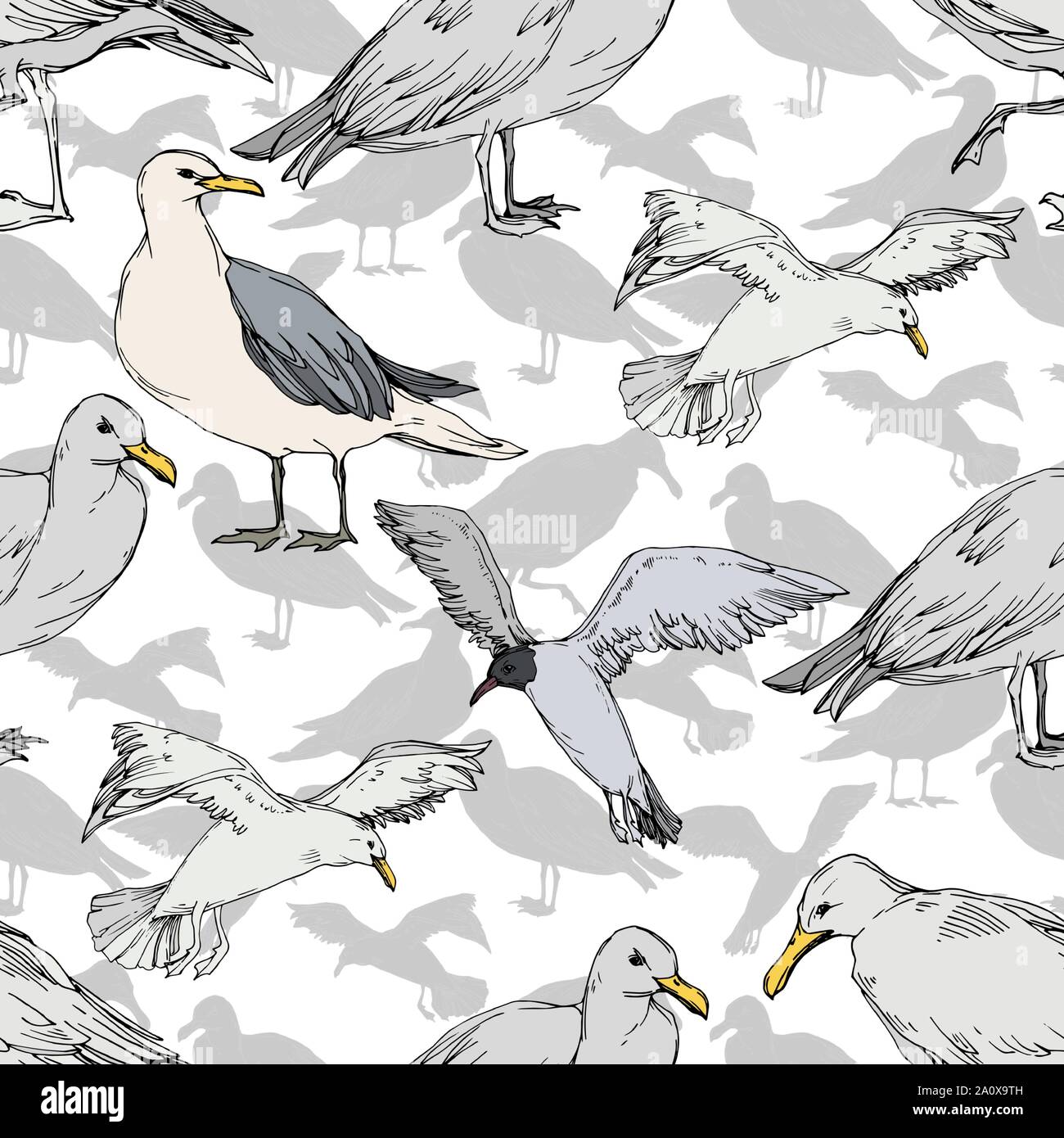 Sky bird seagull in a wildlife. Wild freedom, bird with a flying wings ...