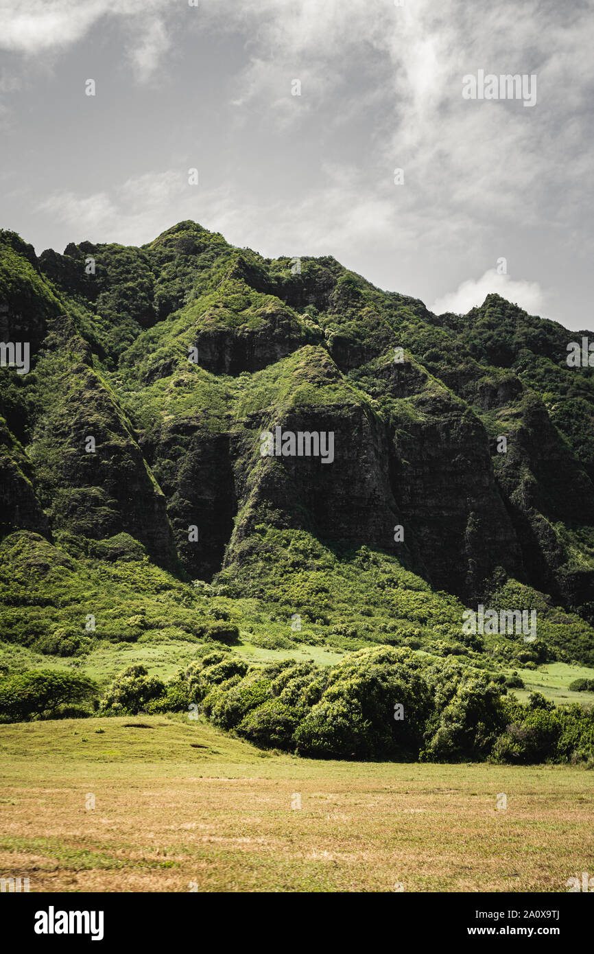 Kualoa ranch jurassic park hi-res stock photography and images - Alamy