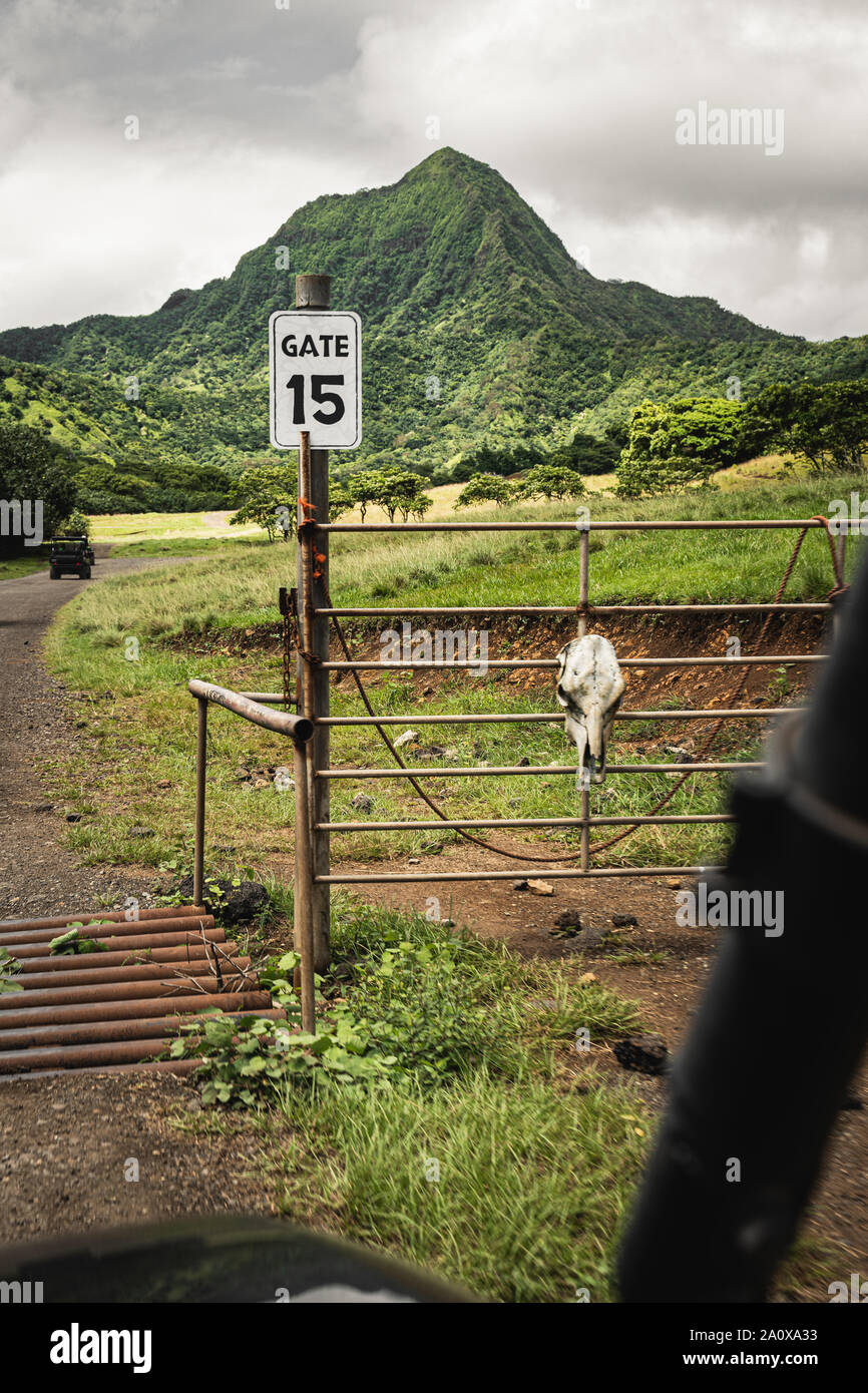 Oahu, Hawaii - August 23rd 2019: Beautiful scenery driving UTVs at ...