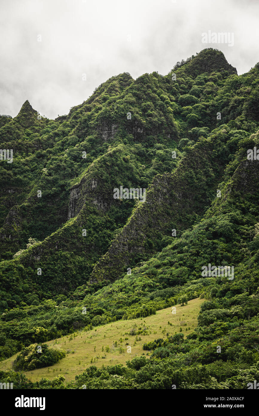 Hawaii kualoa valley hi-res stock photography and images - Alamy