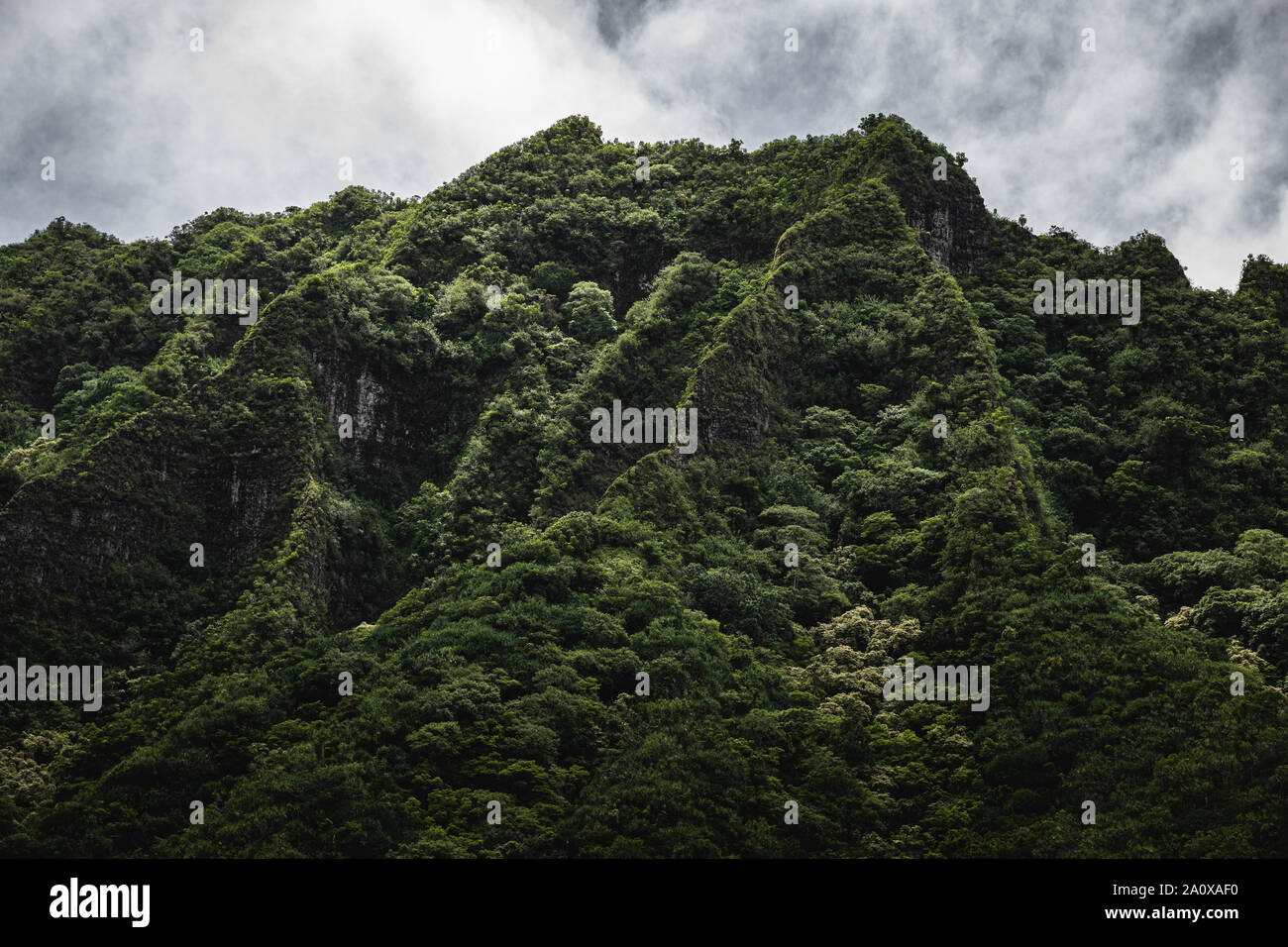 Mountain views at Kualoa Ranch, Oahu Hawaii Stock Photo - Alamy
