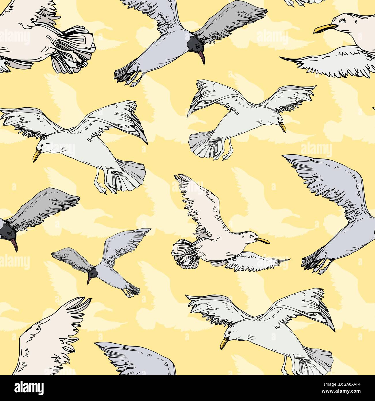 Sky bird seagull in a wildlife. Wild freedom, bird with a flying wings ...