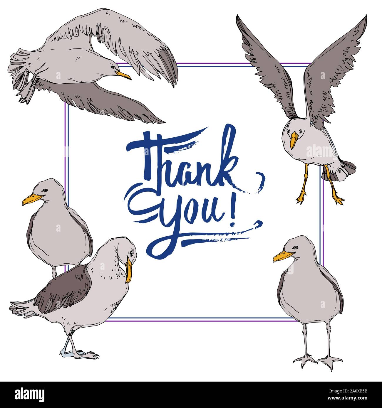 Seagull Border Painting With Seagull PNG Transparent Images Free