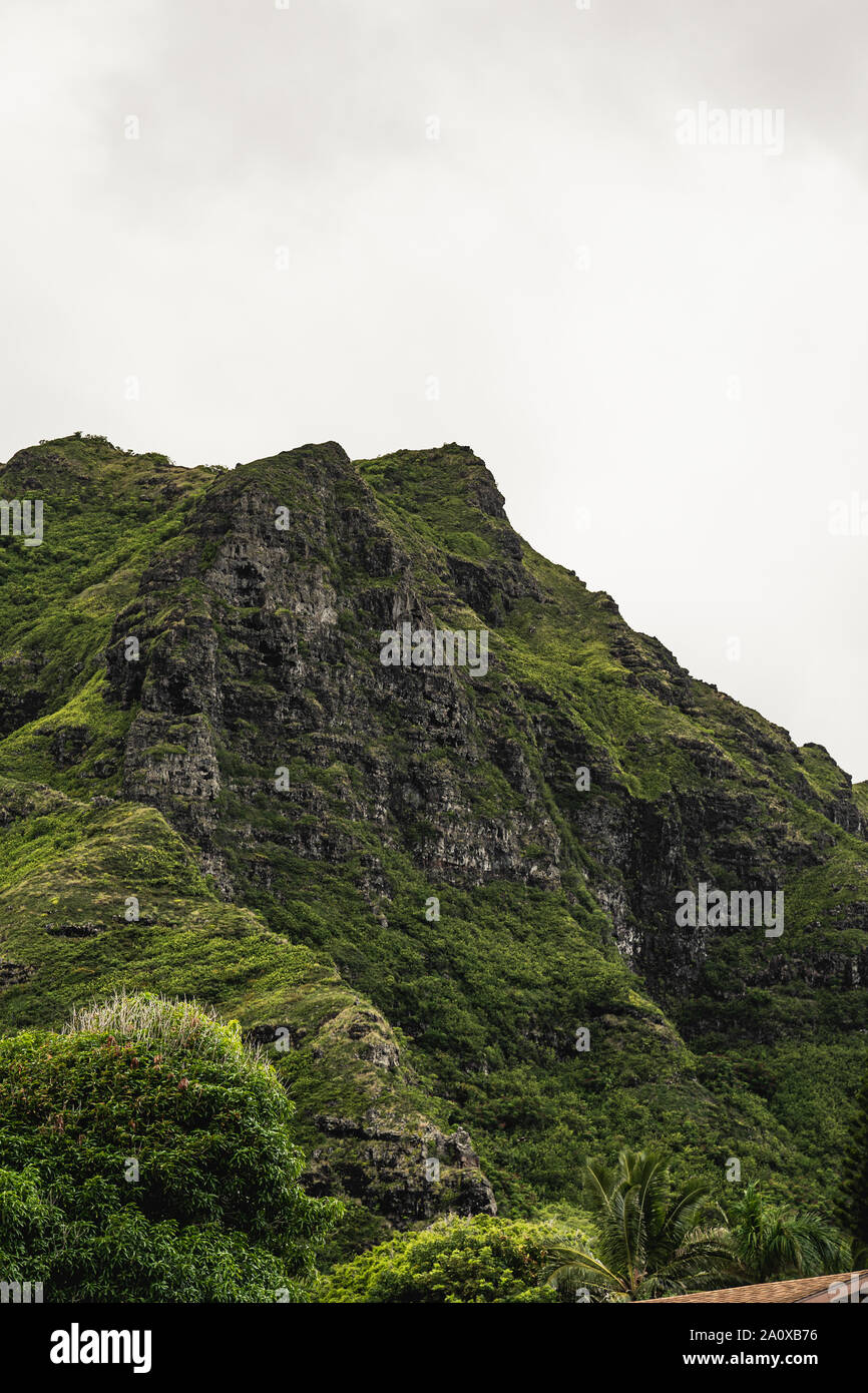 Kualoa ranch jurassic park hi-res stock photography and images - Alamy