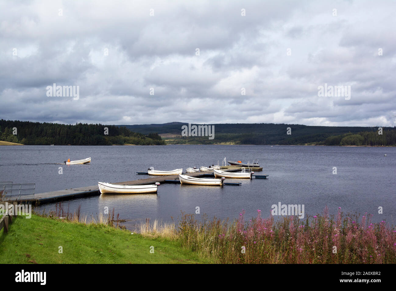 Kielder water and forest park hi-res stock photography and images - Alamy