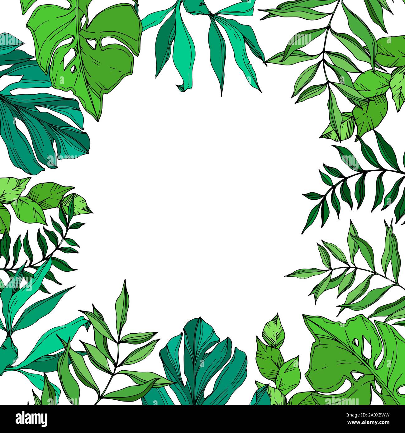 Summer Border Black And White