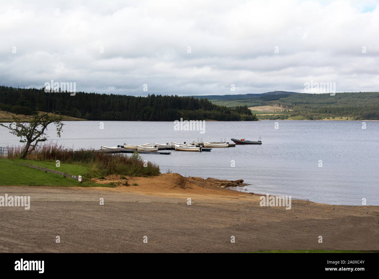 Kielder water and forest park hi-res stock photography and images - Alamy
