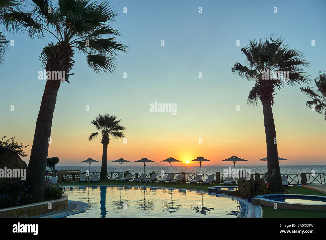 Palm trees over the swimming pool at sunrise on the coast of the island ...