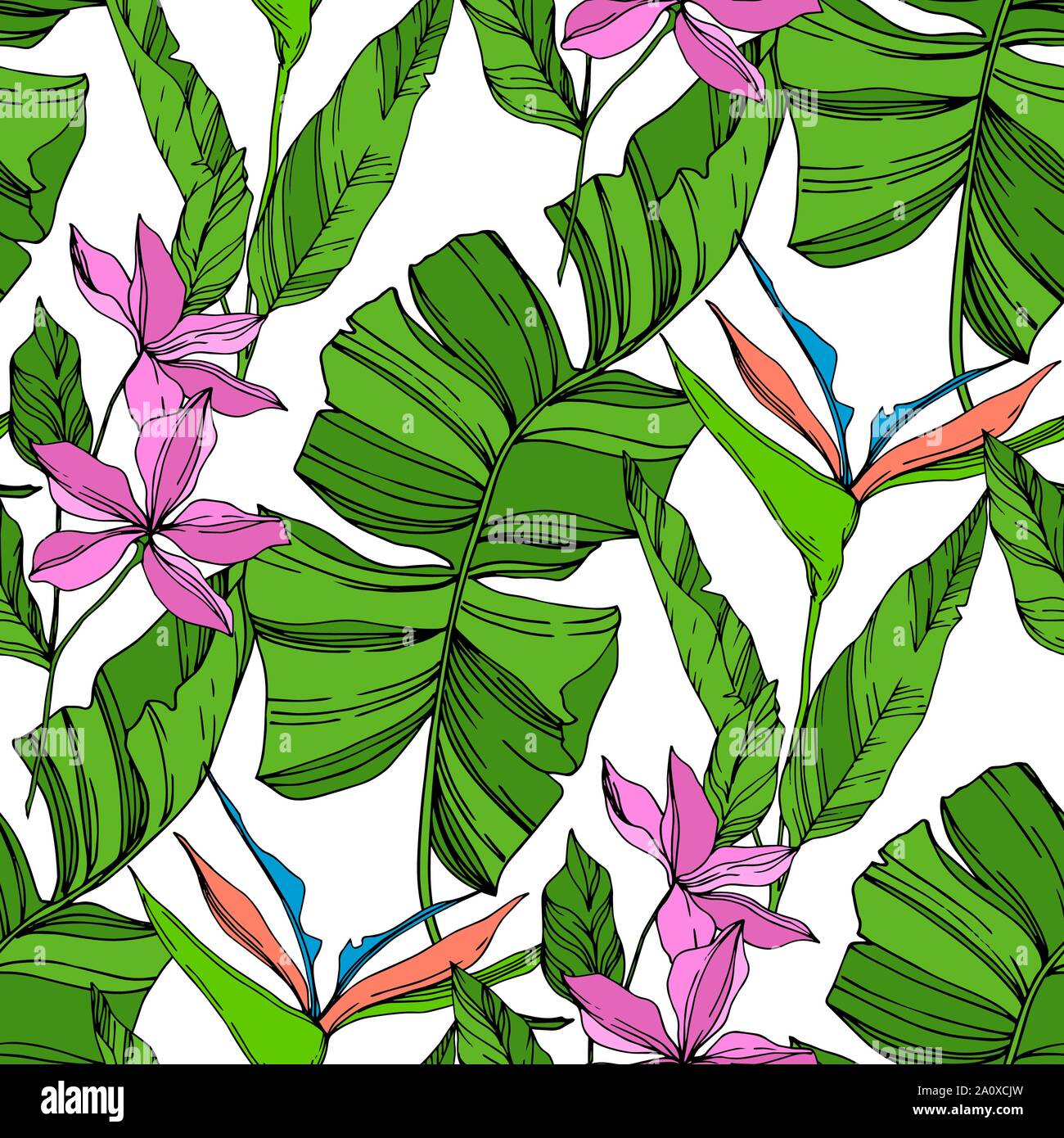 Vector Exotic tropical hawaiian summer. Palm beach tree leaves jungle ...
