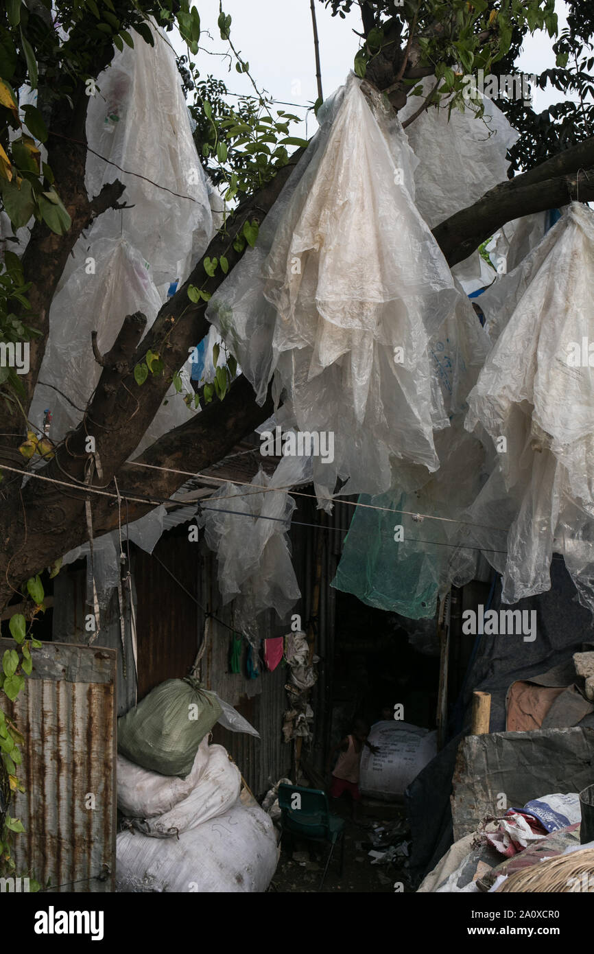 Plastic polyethylene is hanging on a tree to dry. Bangladesh, as a part ...