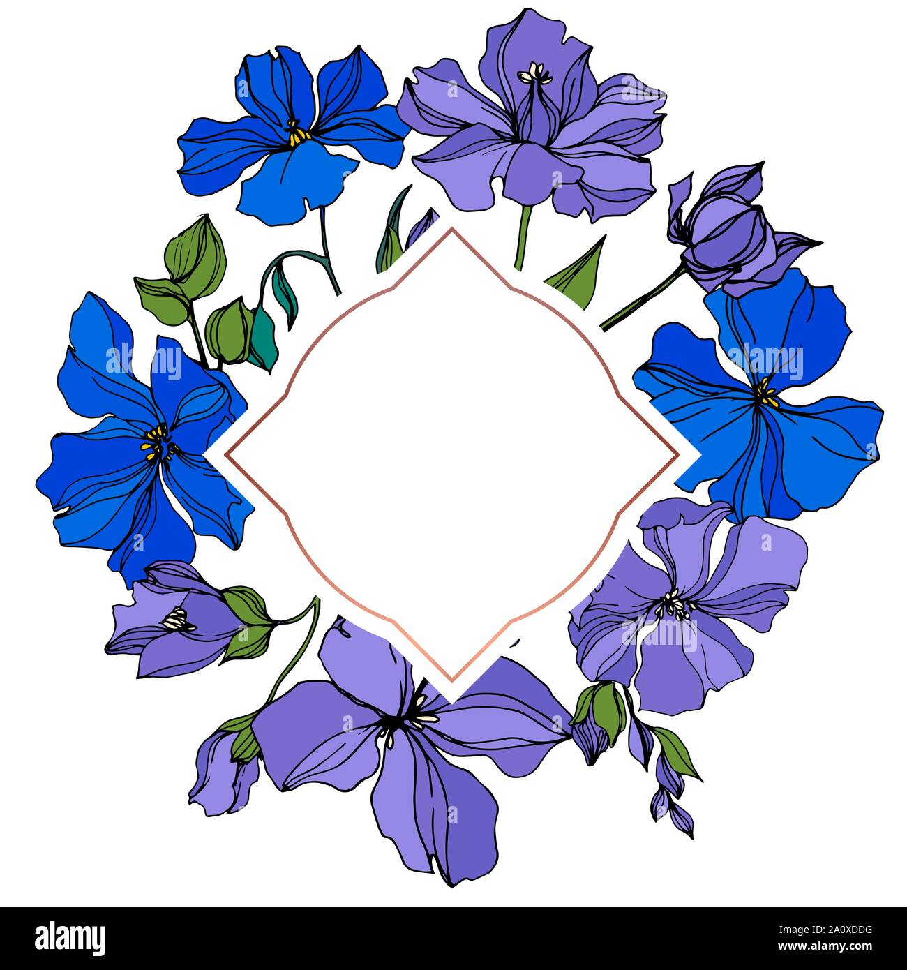 Vector Flax floral botanical flowers. Wild spring leaf wildflower ...