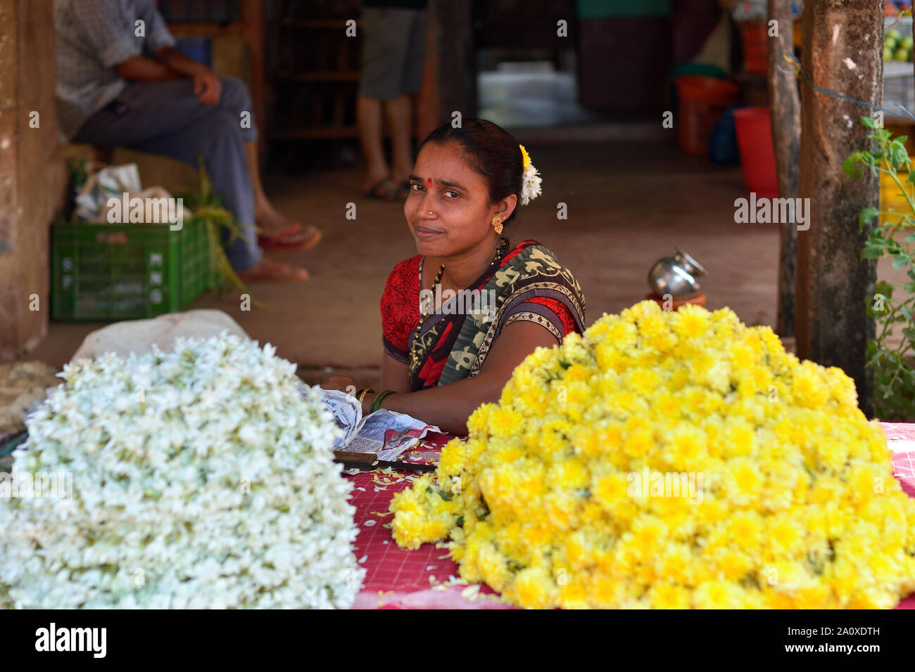 Tourism india hi-res stock photography and images - Alamy