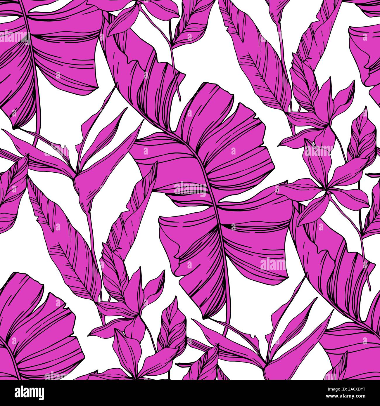 Vector Exotic tropical hawaiian summer. Palm beach tree leaves jungle ...