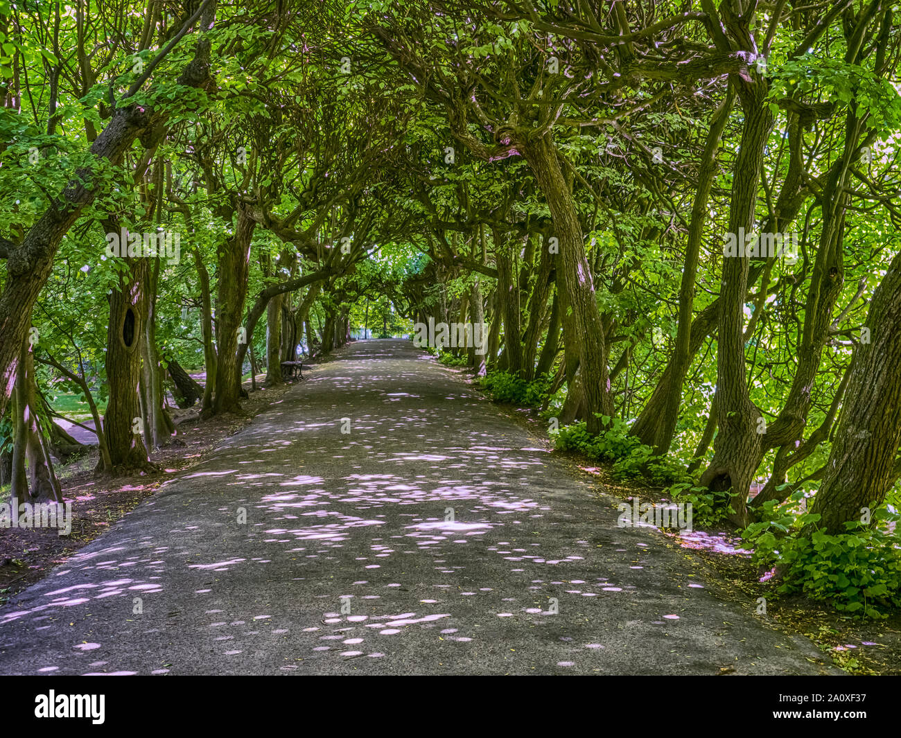 Paland hi-res stock photography and images - Alamy