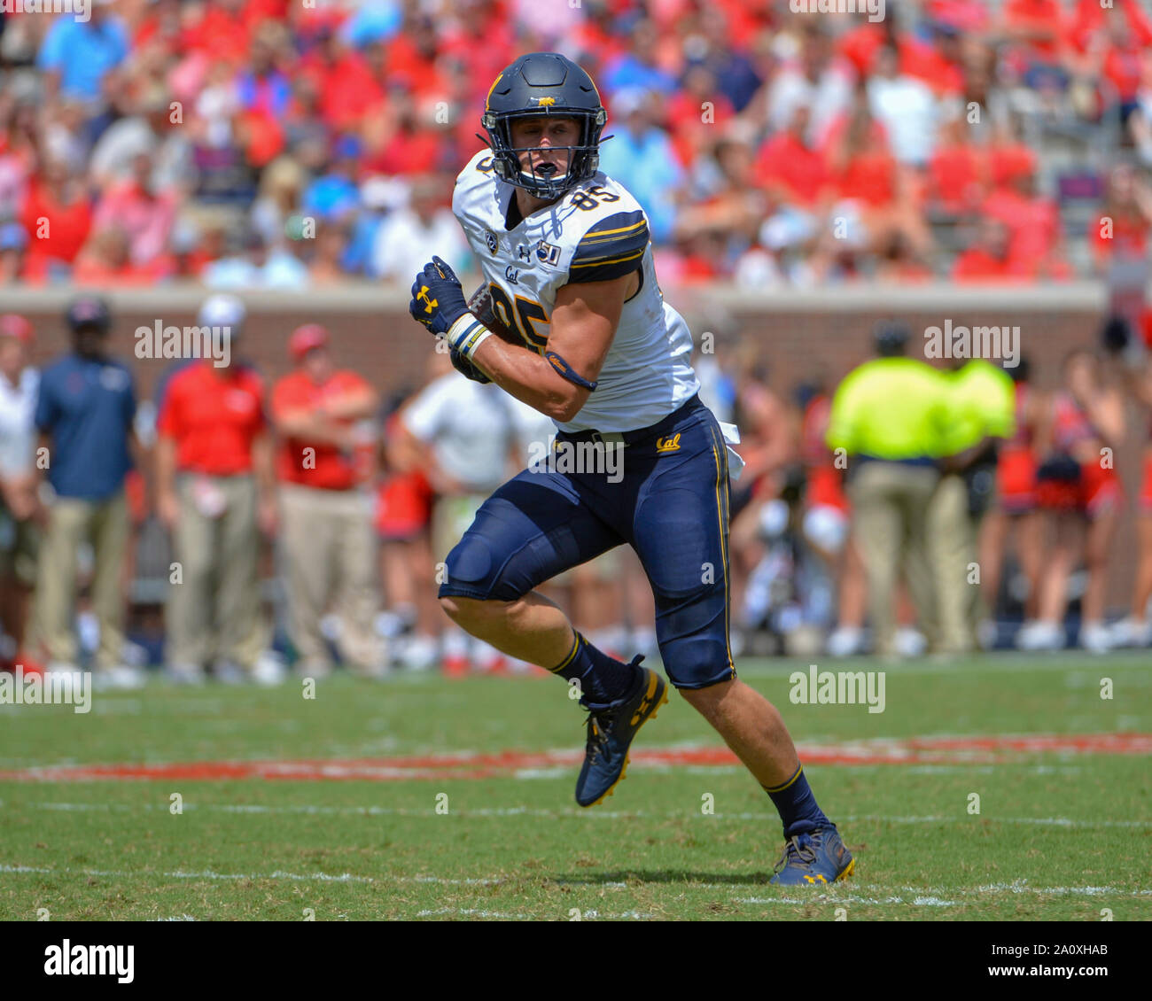 September 21, 2019: California tight end, Jake Tonges (85), breaks free ...