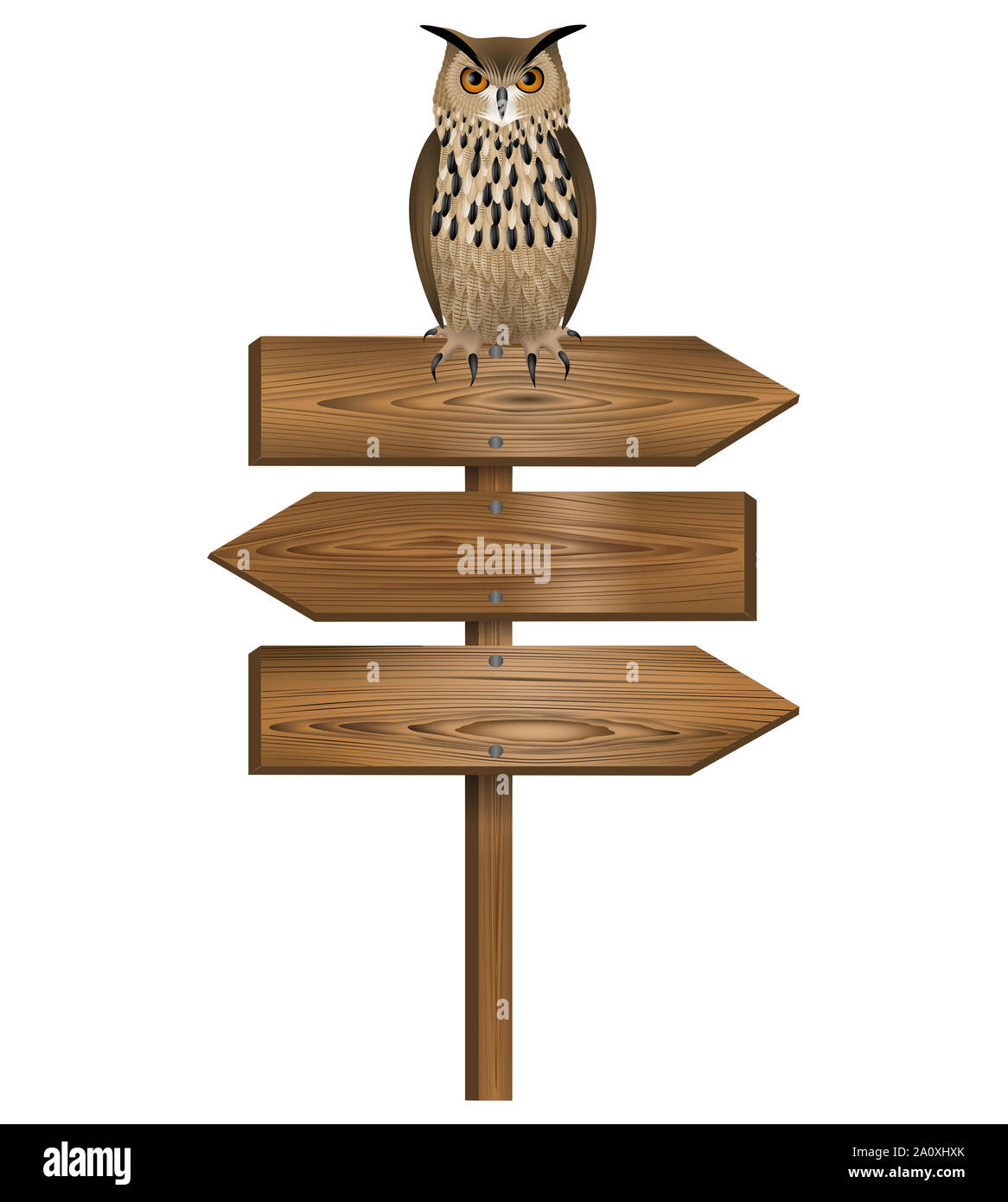 Owl night Cut Out Stock Images & Pictures - Alamy