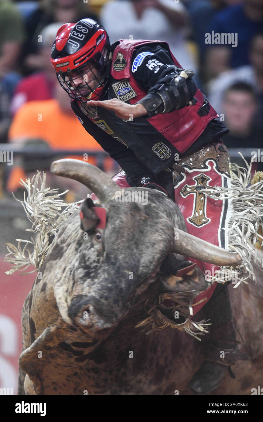 Sanderson zuma wire hi-res stock photography and images - Alamy