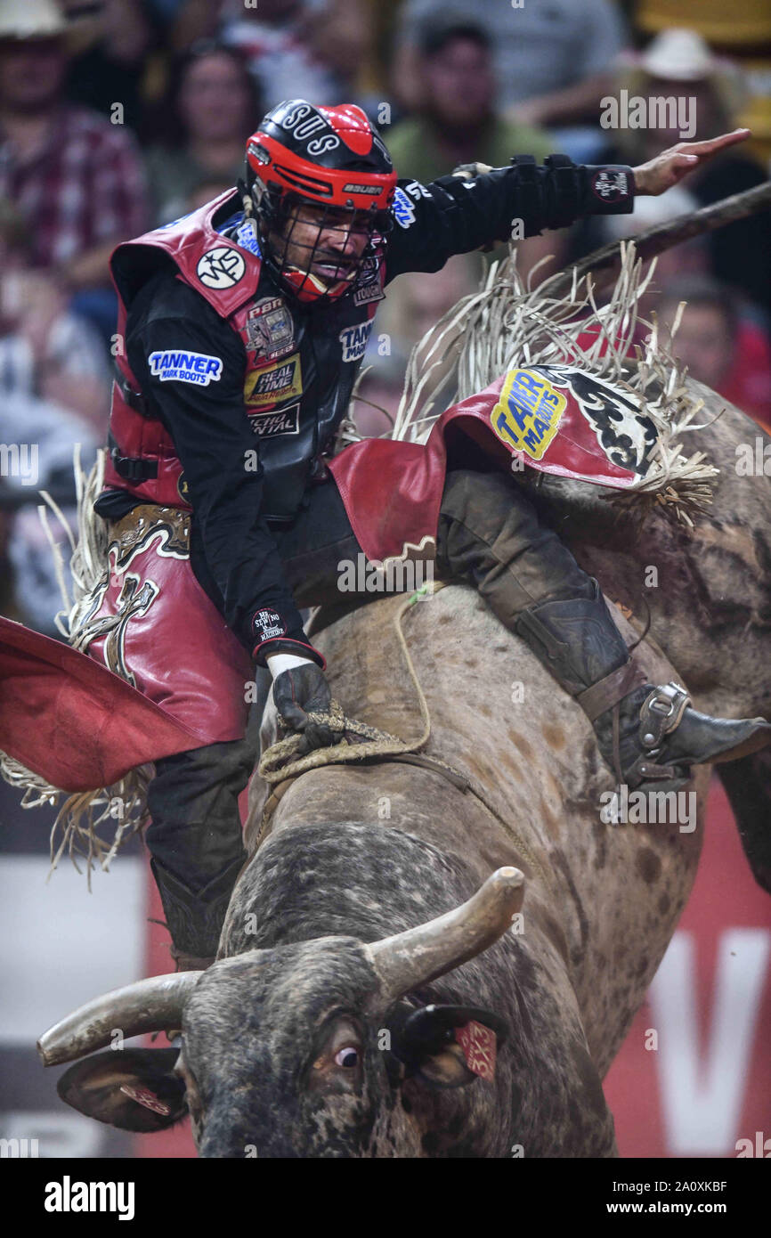 Sanderson zuma wire hi-res stock photography and images - Alamy