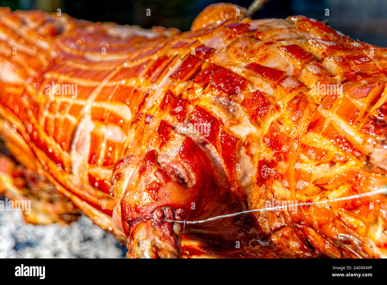 Suckling pig feast hi-res stock photography and images - Alamy