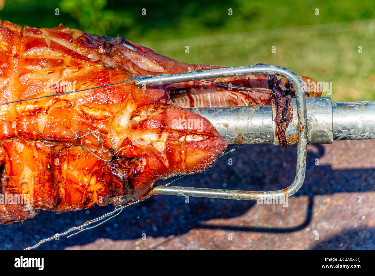 Suckling pig turns over the open fire Stock Photo - Alamy