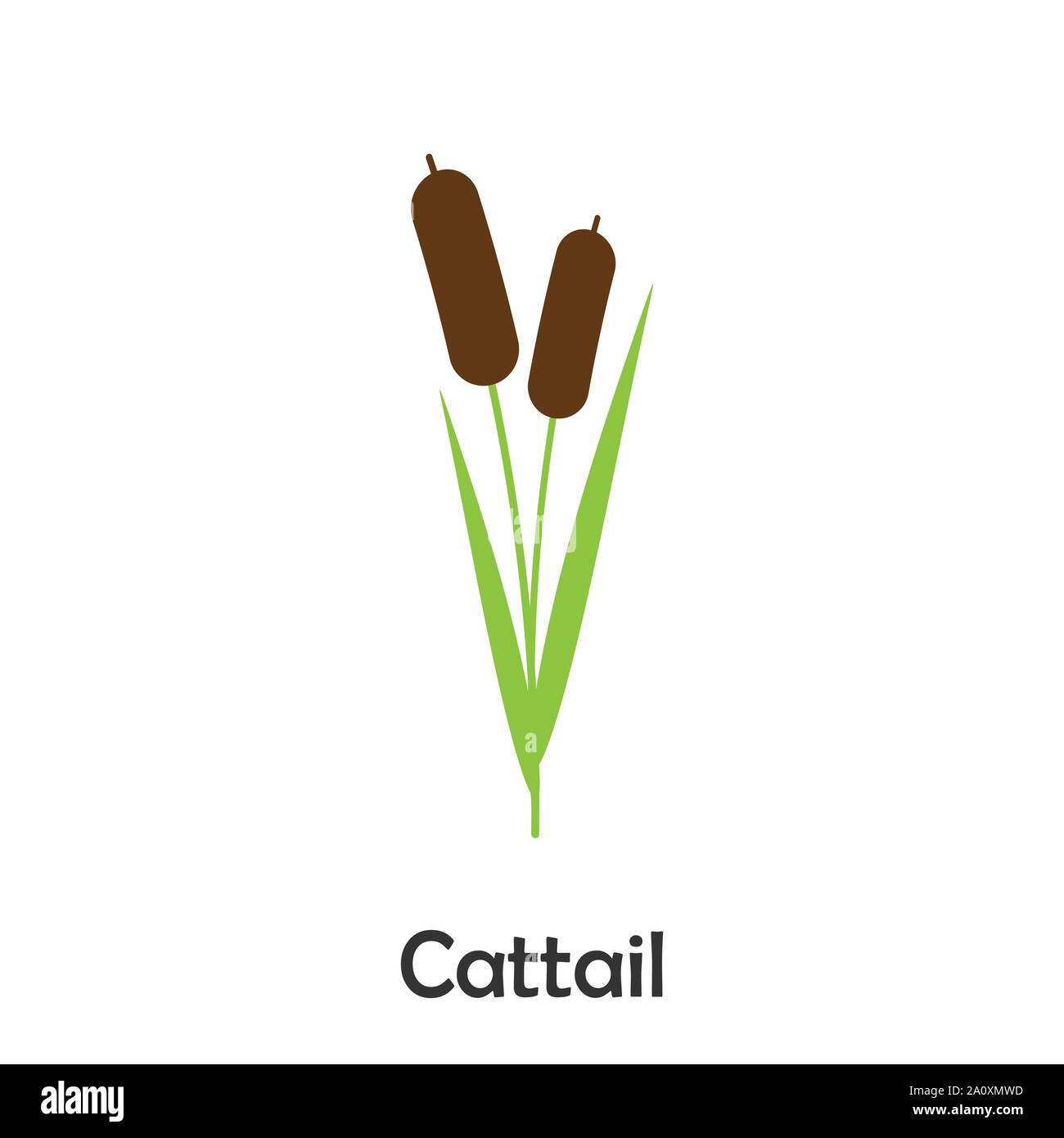 Cartoon Cattails