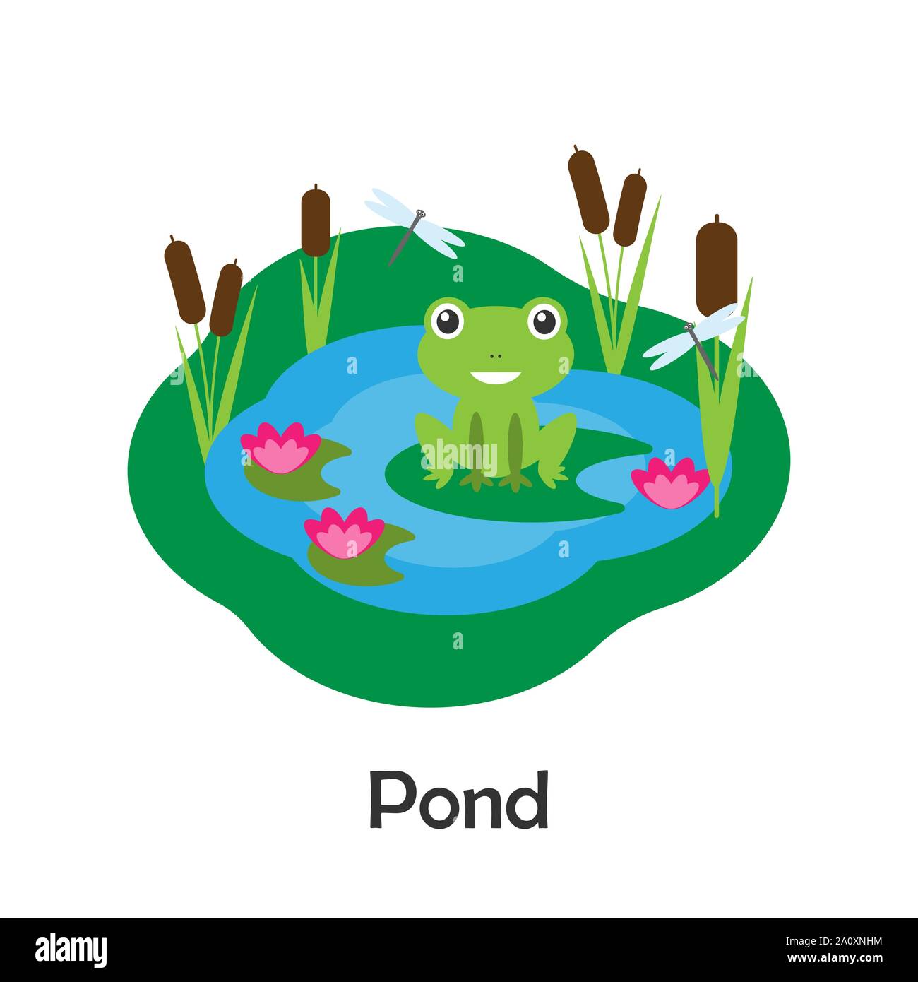 Pond with frog in cartoon style, pond card for kid, preschool activity ...