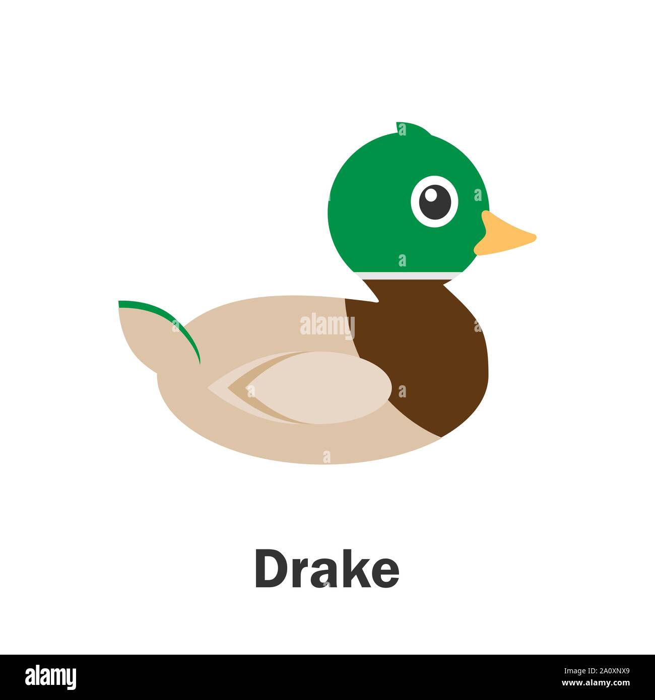 Drake in cartoon style, pond card for kid, preschool activity for ...