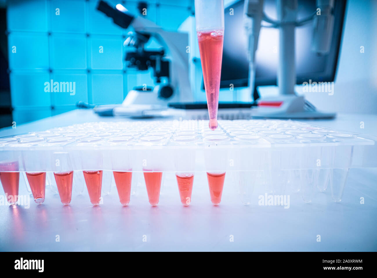 sample of biological sample for DNA analysis Stock Photo - Alamy