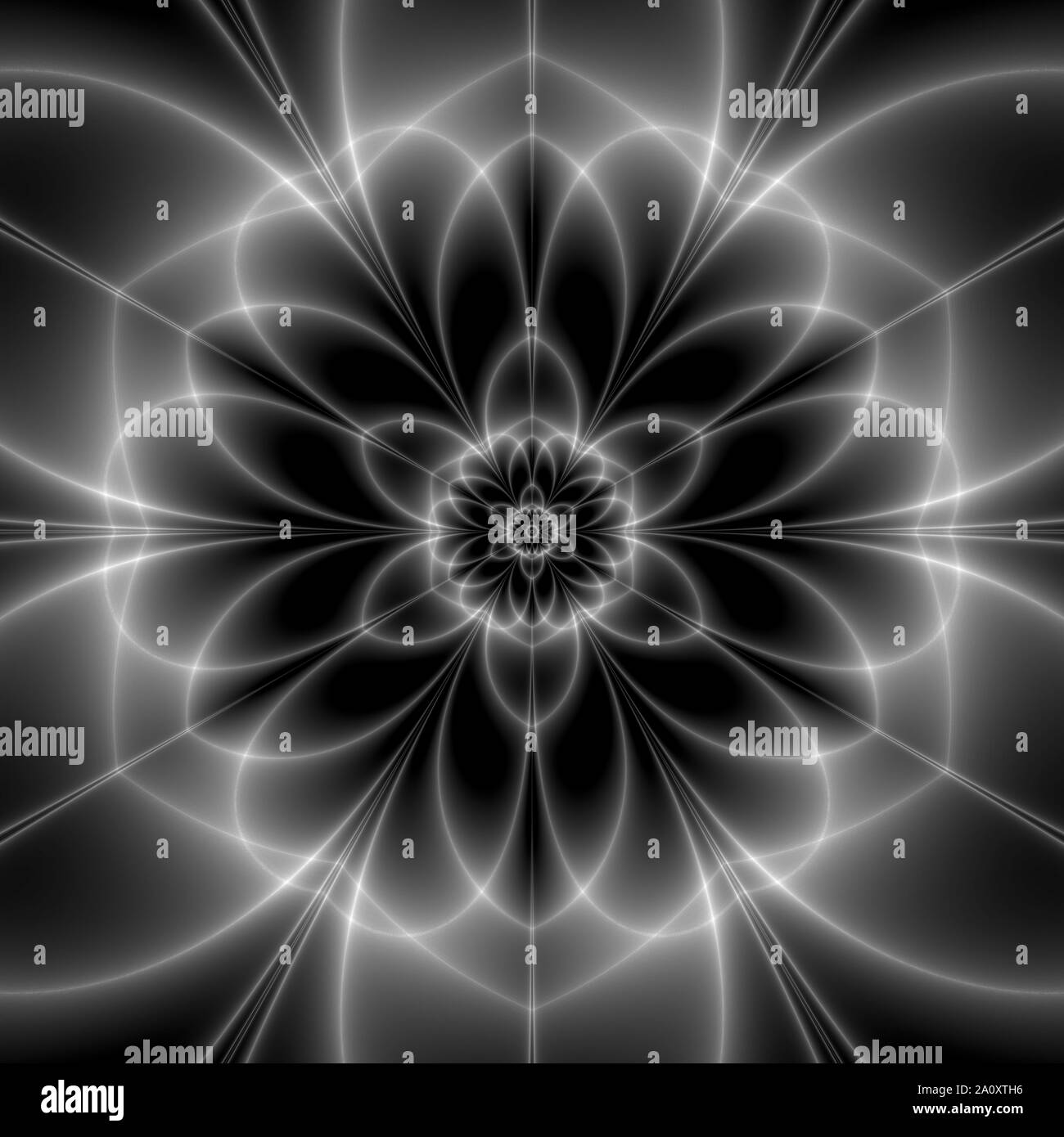 Black And White Rosette High Resolution Stock Photography and Images ...