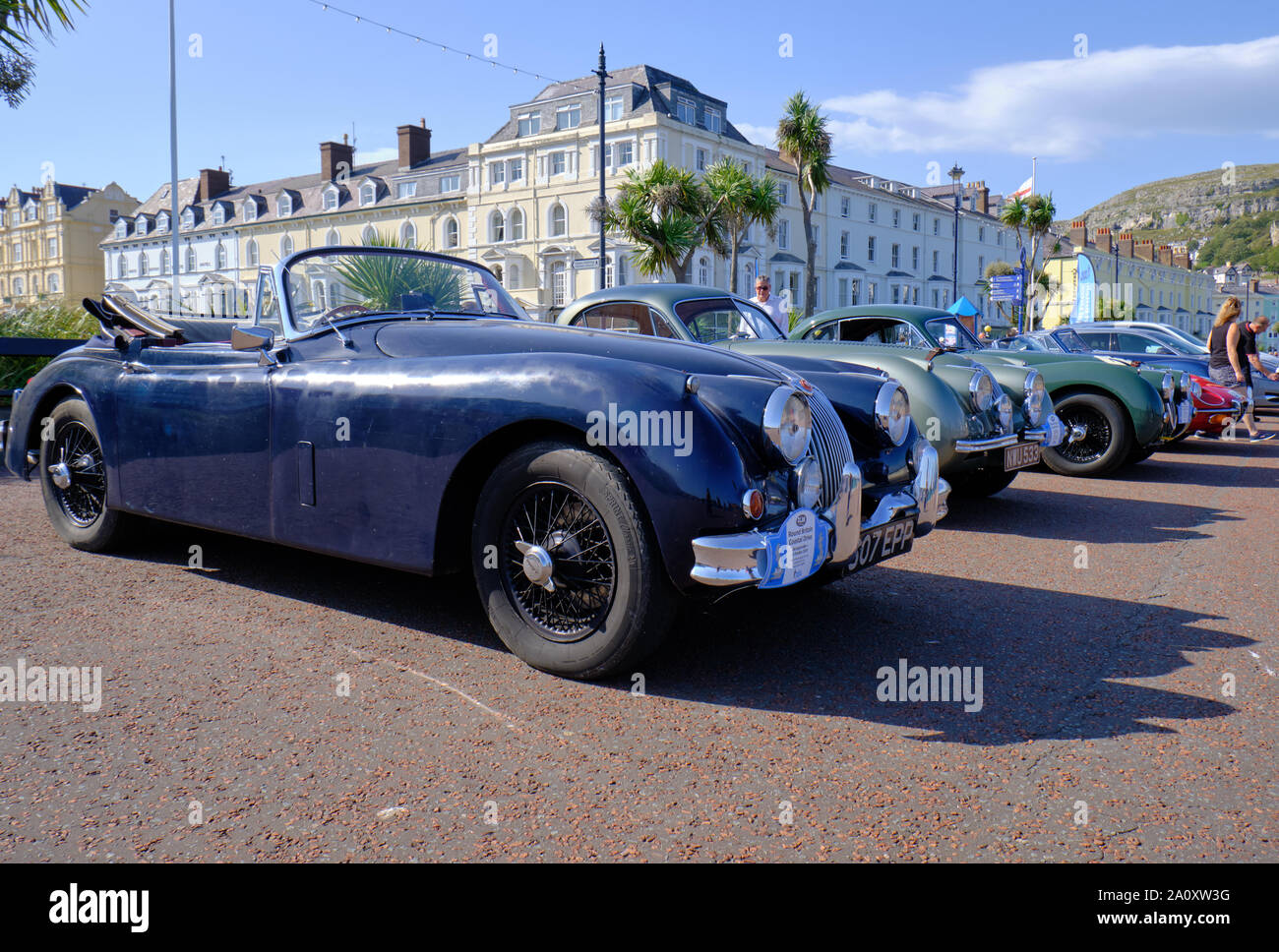 Jaguar XK club cars participating in Round Britain Coastal Drive ...