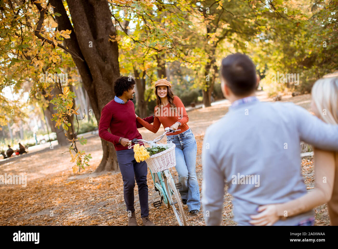Group walking in park autumn hi-res stock photography and images - Alamy
