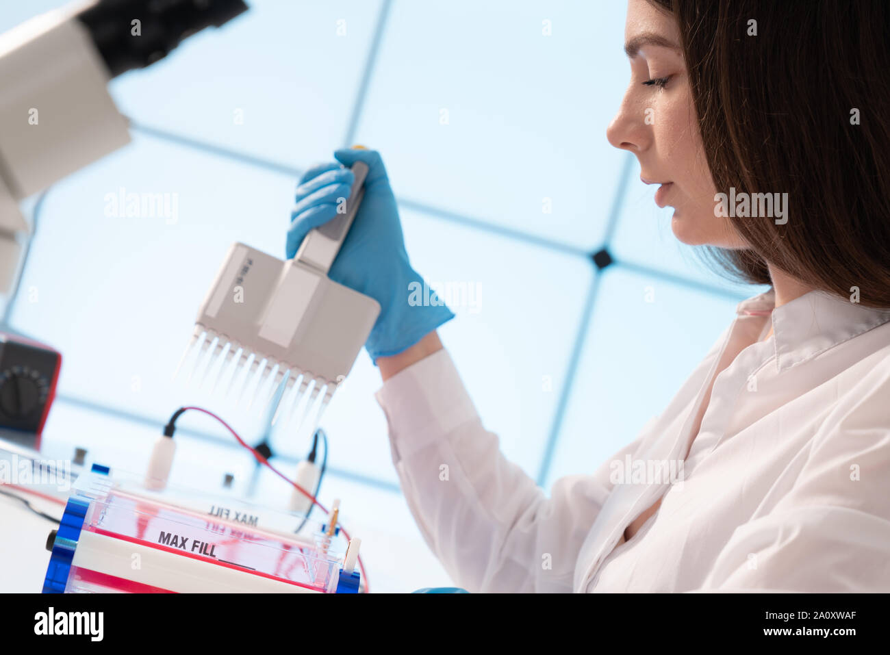 Loading Samples and Running an Agarose Gel for electrophoresis, Gel ...