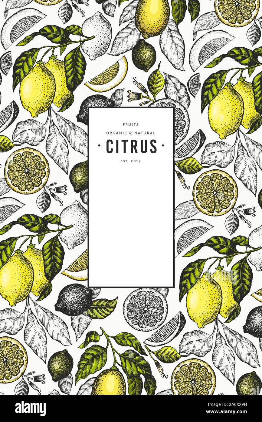 Lemon tree banner template. Hand drawn vector fruit illustration ...