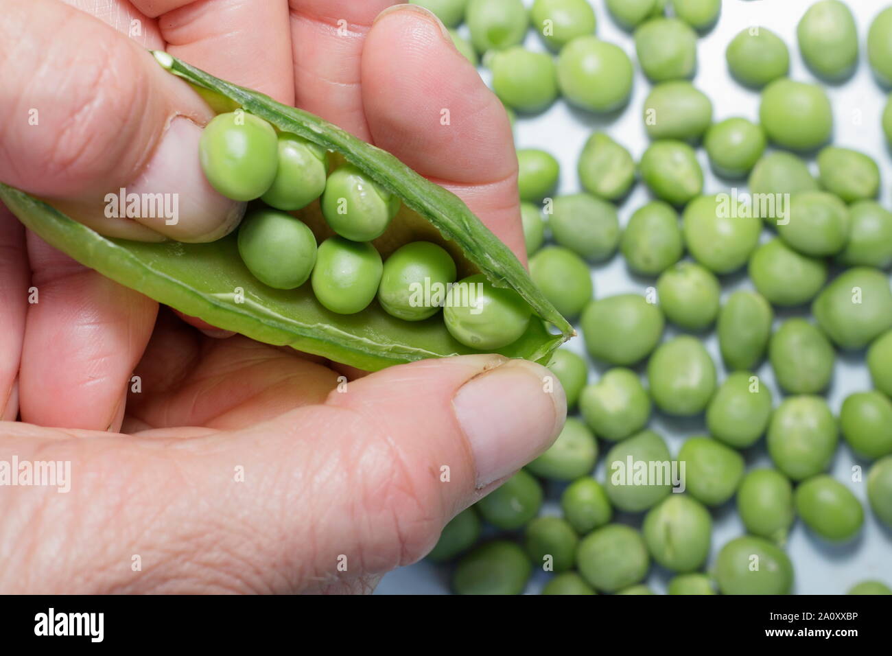 Podding peas from shell hi-res stock photography and images - Alamy