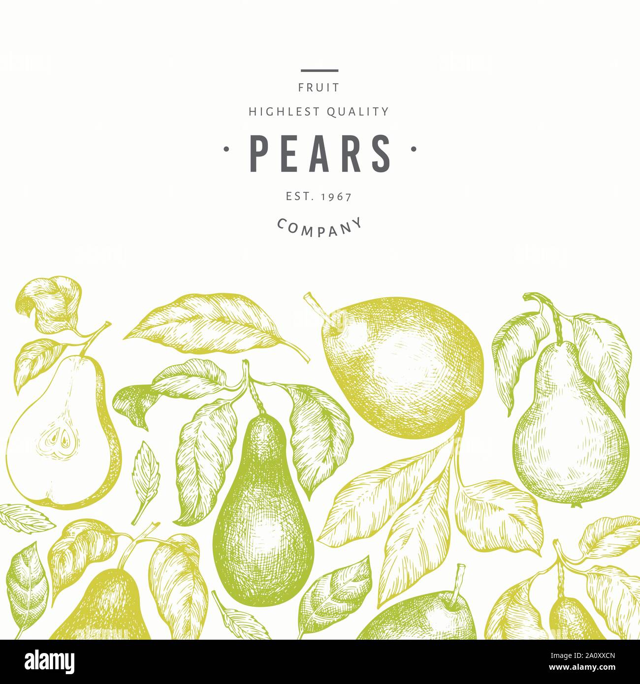 Pear design template. Hand drawn vector garden fruit illustration ...