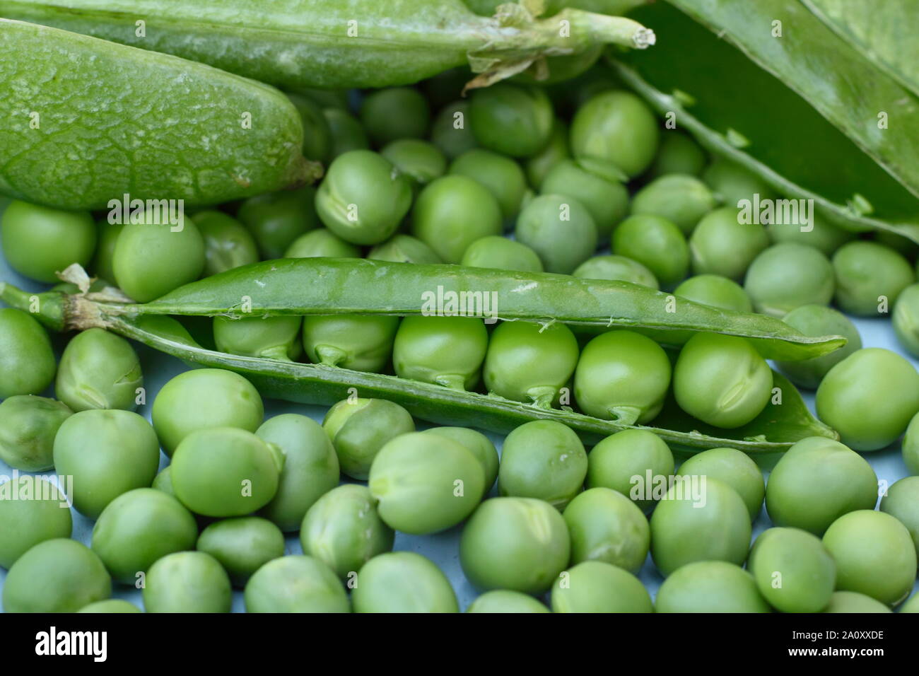 Podding peas from shell hi-res stock photography and images - Alamy